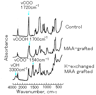 フィルム表面改質